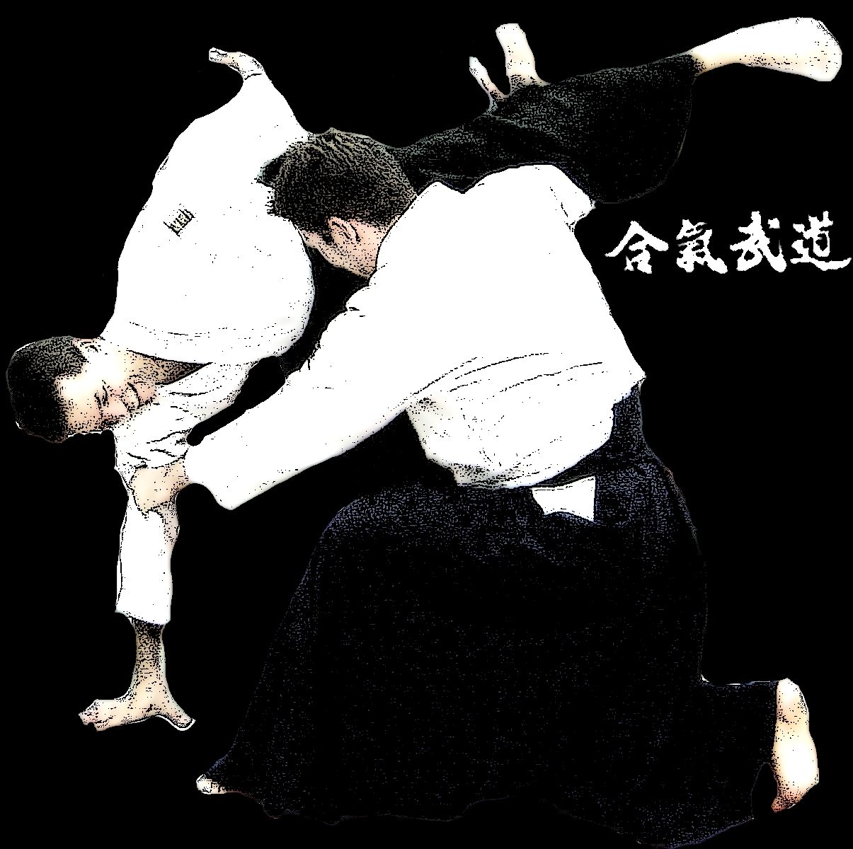 AikiBudo – Budo Ryu Rotterdam